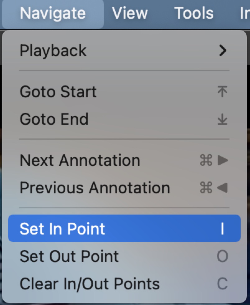 'In' & 'Out' Points – cineSync